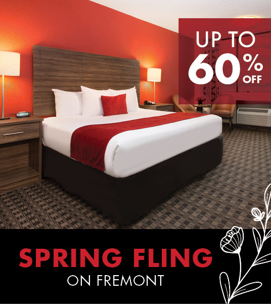 Last Minute Hotel Deals & Packages | The D Las Vegas Hotel & Casino